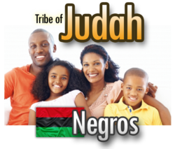 Modern Day 12 Tribes – Judah | Hebrew Israelite Research Center