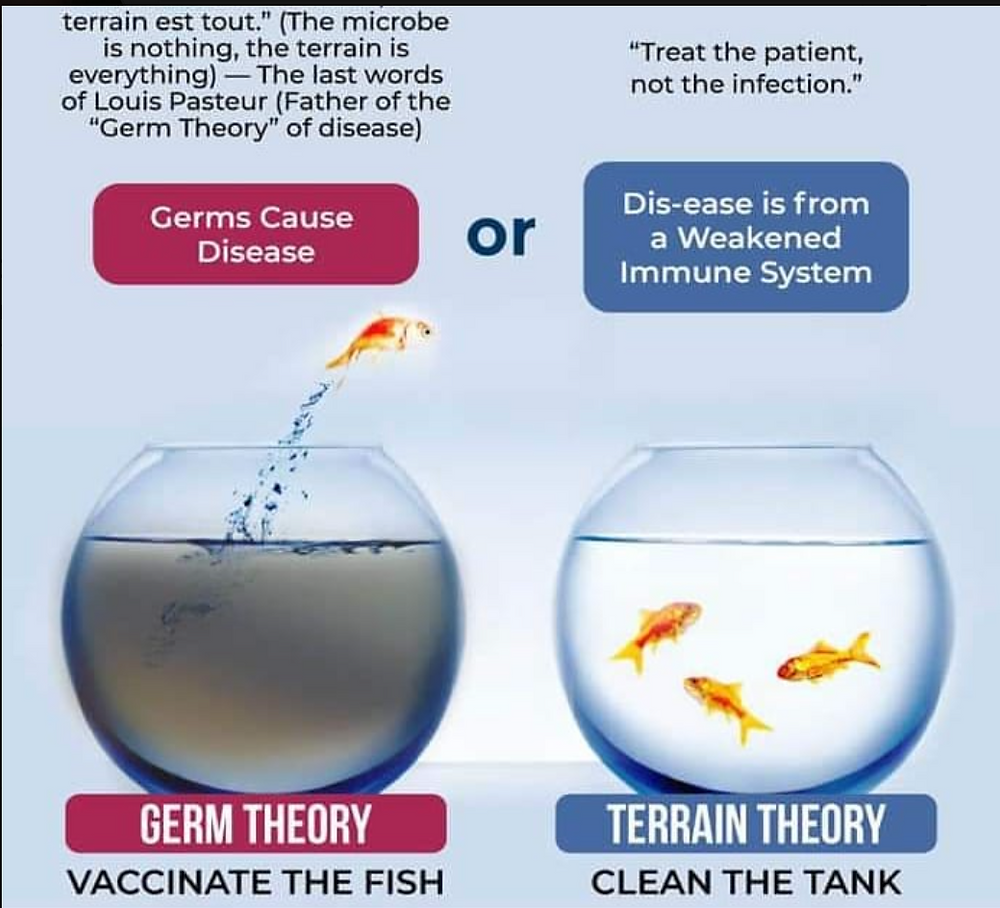 Terrain Theory over Germ Theory | Dan 1:8 | Hebrew Israelite Research ...